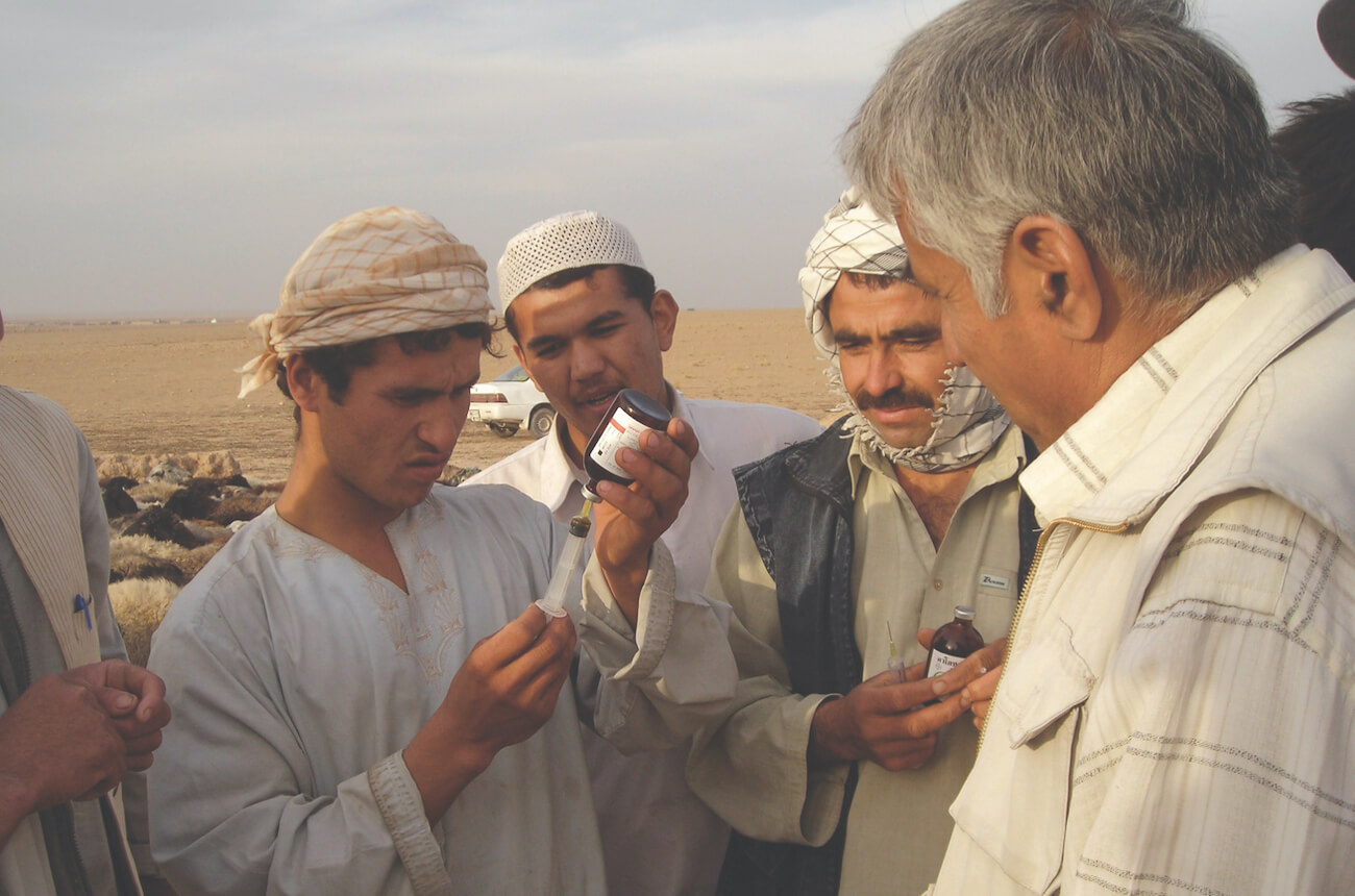 The Balkh Livestock and Rural Enterprise Development project, Balkh ...