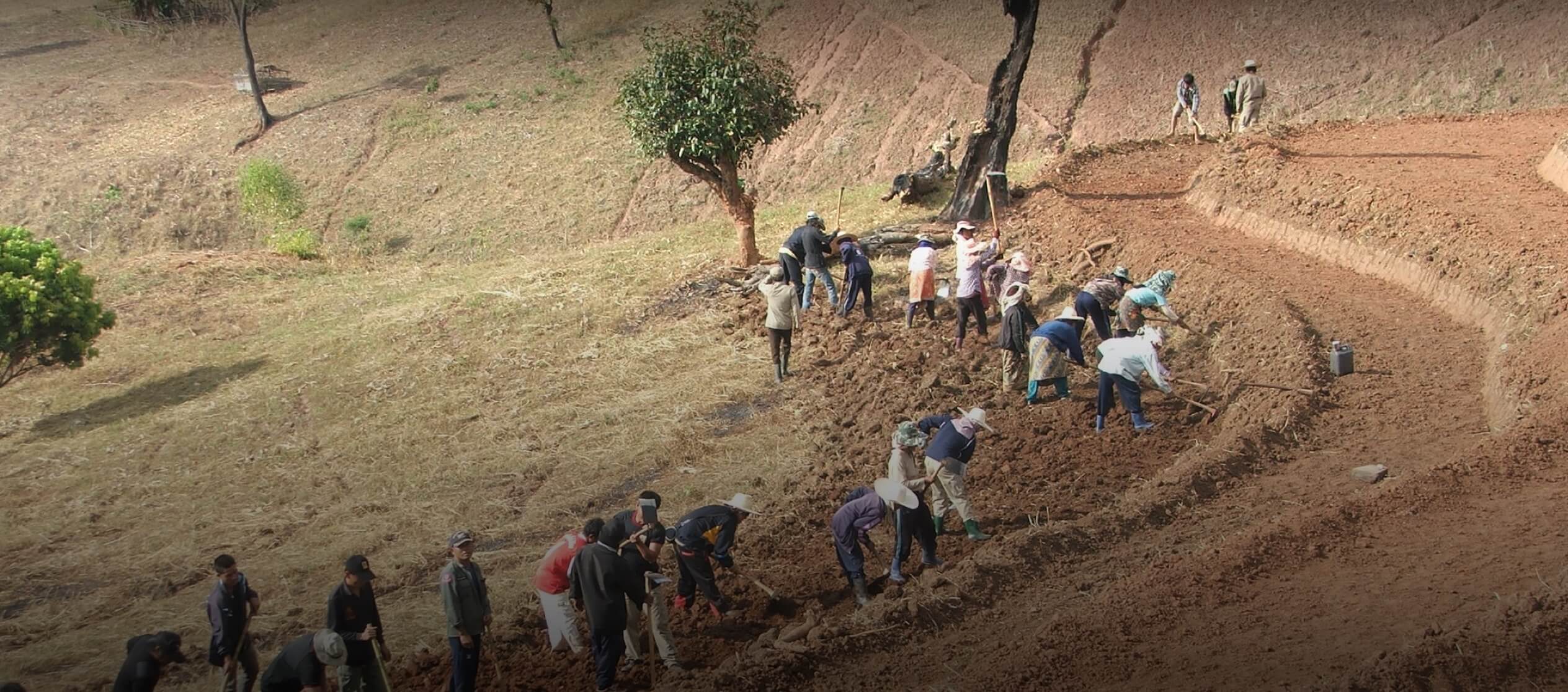 Integrated Rural Livelihood Development Model Project for Nan Province ...